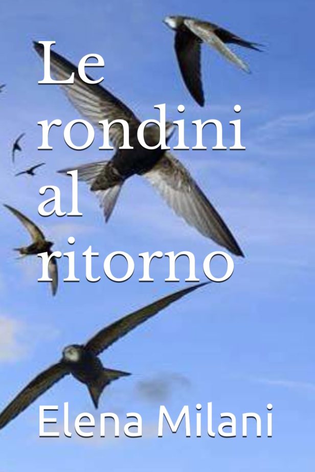 Elena Milani – Testi da “Le rondini al ritorno” (Libri amArgine 2024 ...